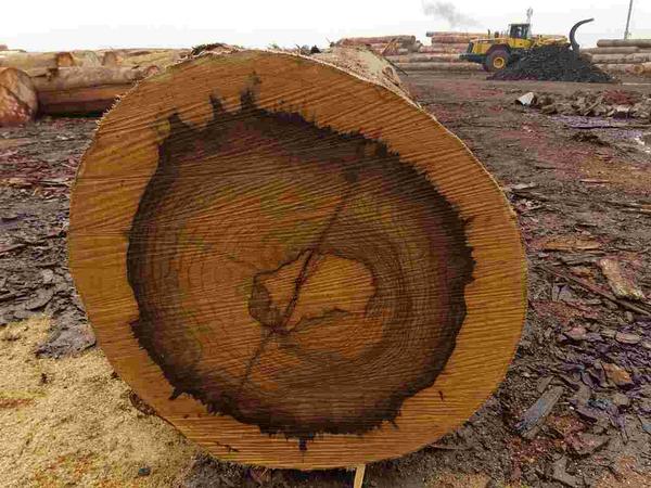 Houtexclusief - Houtexclusief Waddinxveen, Exclusief hout uit voorraad ...